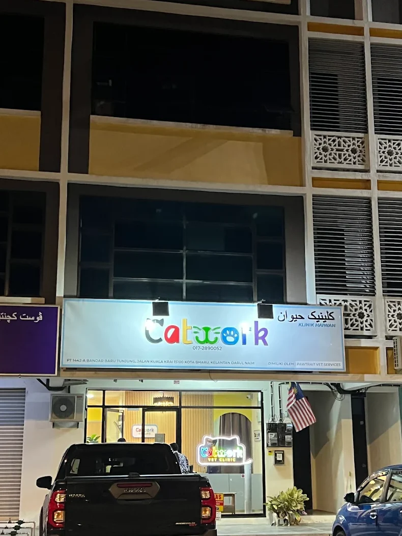 Klinik Haiwan Catwork